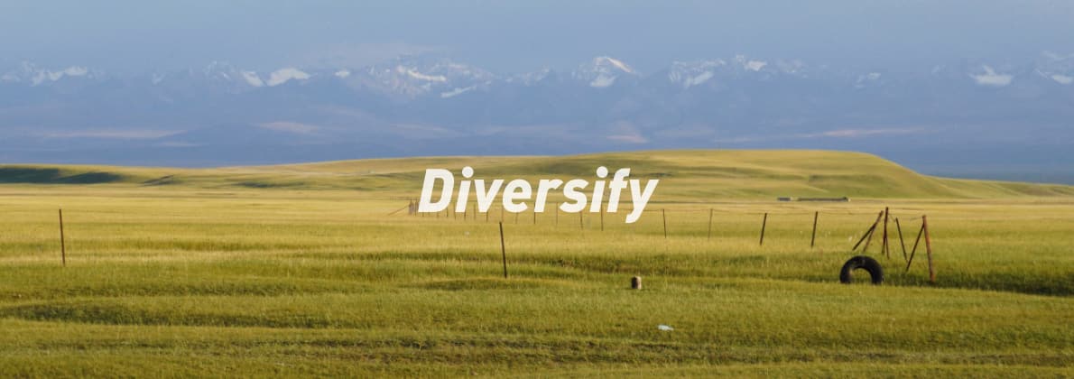 多元人生 - Diversify your life | Surmon.me